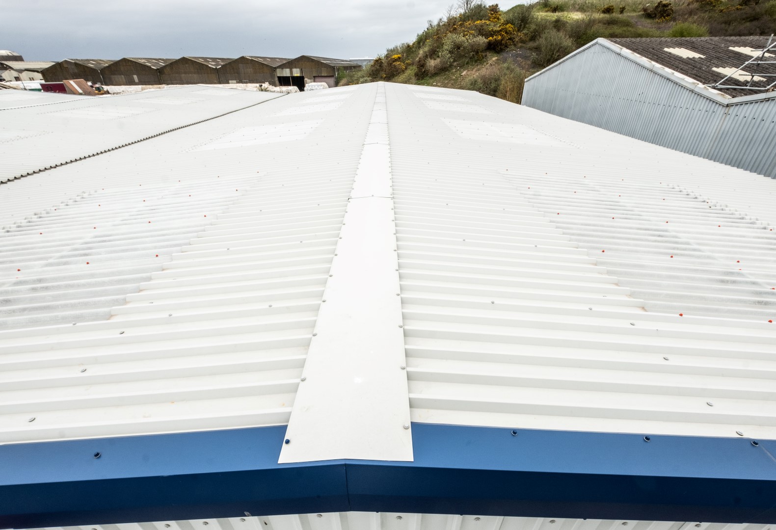 Roofing Materials For Warehouse at Mary Duckworth blog